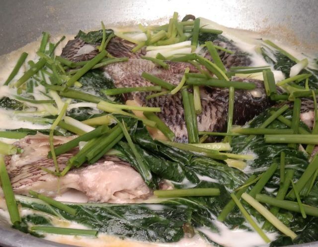 GINATAANG TILAPIA: A Flavorful Fish Dish | March 2023