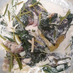 GINATAANG TILAPIA: A Flavorful Fish Dish | March 2023