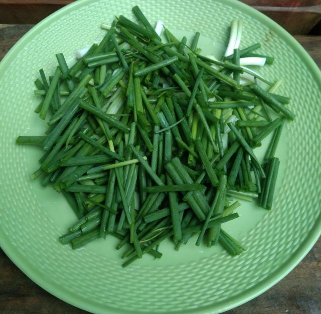 KUHOL: Edible Golden Apple Snails | March 2023