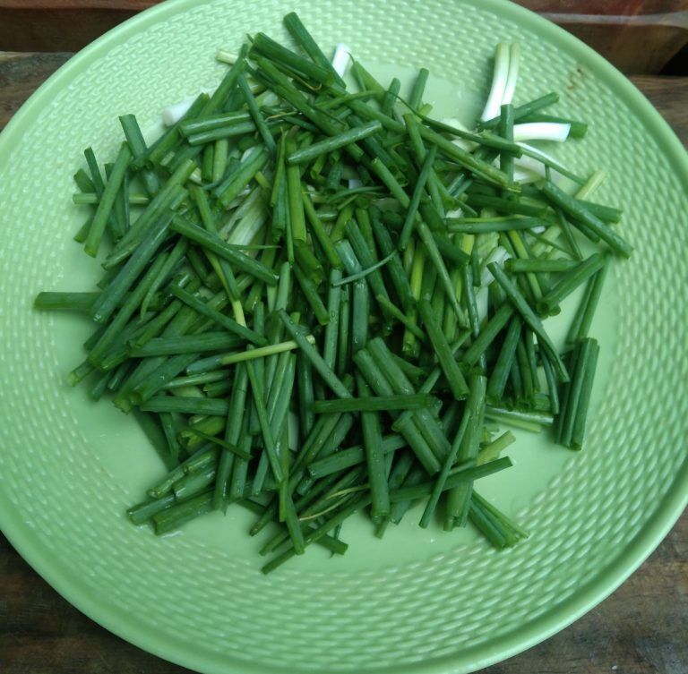 KUHOL: Edible Golden Apple Snails | March 2023