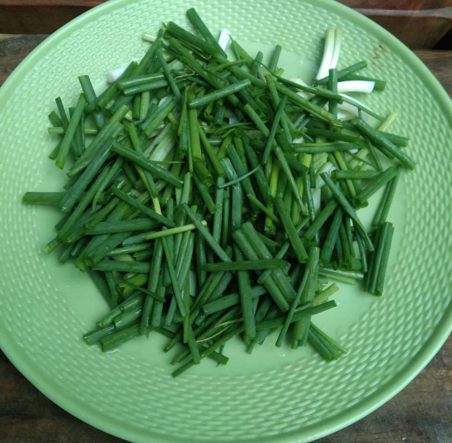 KUHOL: Edible Golden Apple Snails | March 2023