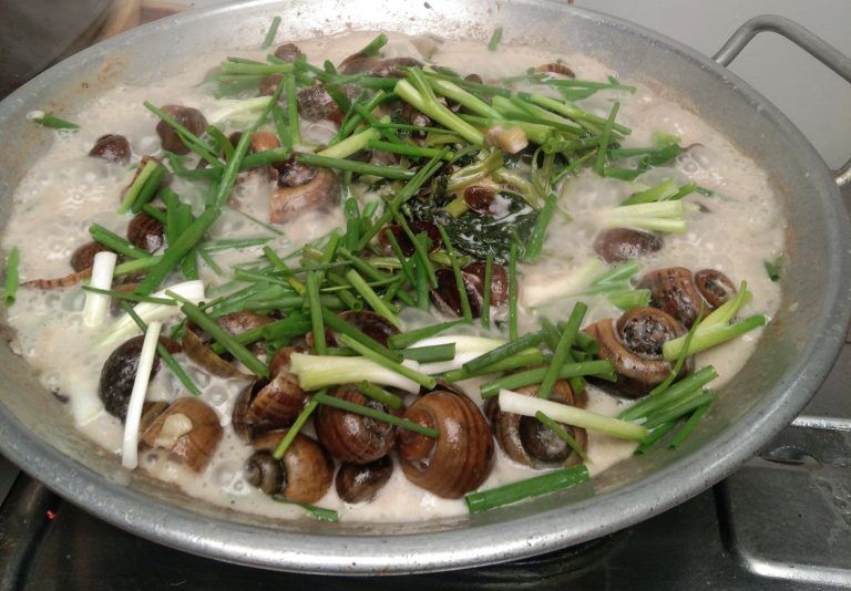 KUHOL: Edible Golden Apple Snails | March 2023