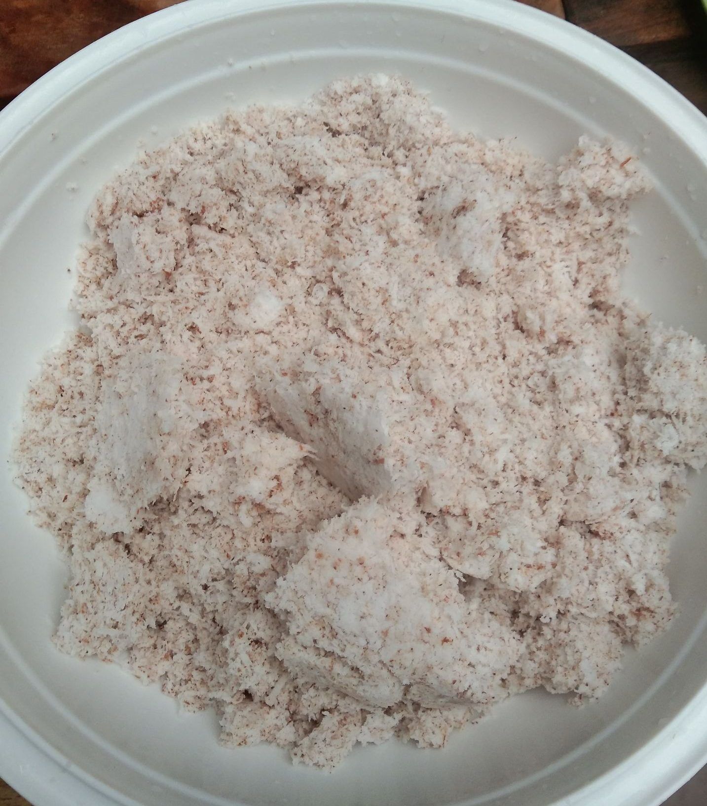 KUHOL: Edible Golden Apple Snails | March 2023