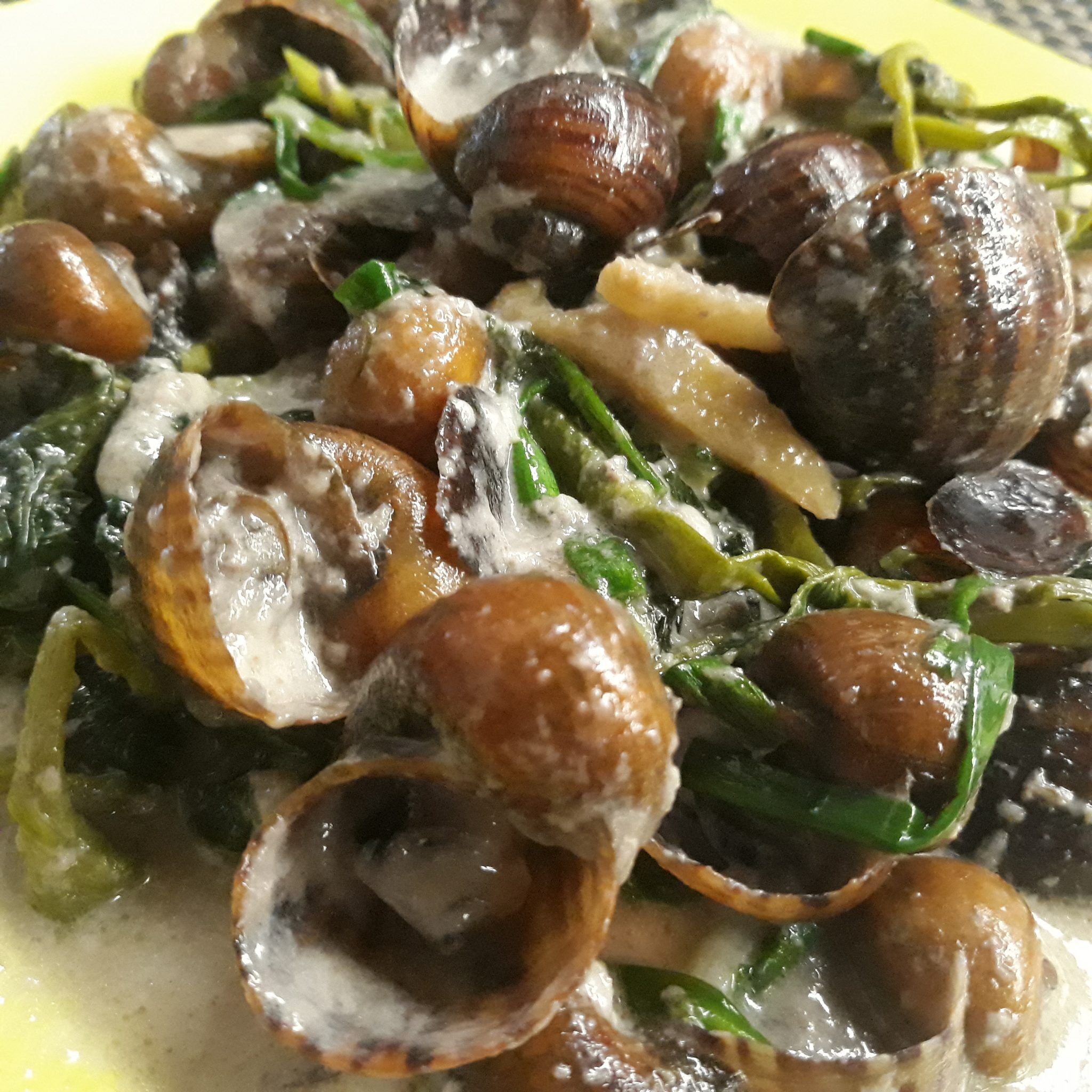 KUHOL: Edible Golden Apple Snails | March 2023