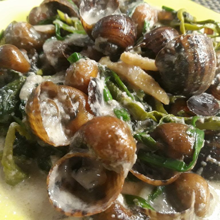 KUHOL: Edible Golden Apple Snails | March 2023